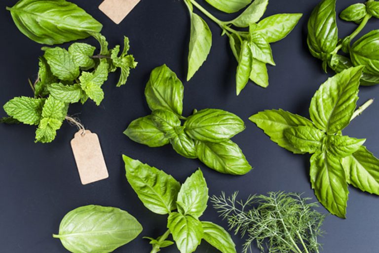 Ketoflex Diet (12/3) for the Bredesen Protocol | Golden Road Medicine